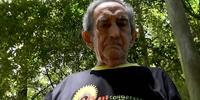 Bosque Camillo Vianna recebe ação ambiental em homenagem ao centenário ...