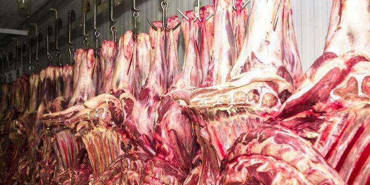 União Europeia desautoriza Brasil a exportar carnes para o bloco ...