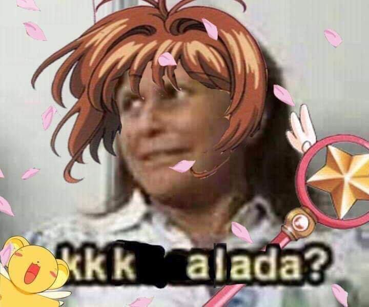 Fafá de Belém confessa que ama memes inspirados nela | Cultura | O Liberal