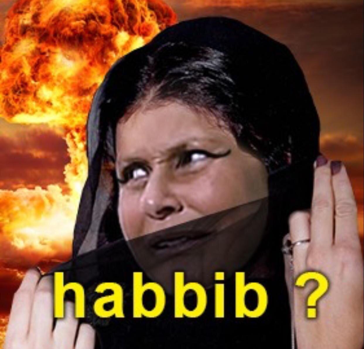 Fafá de Belém confessa que ama memes inspirados nela | O Liberal | O ...