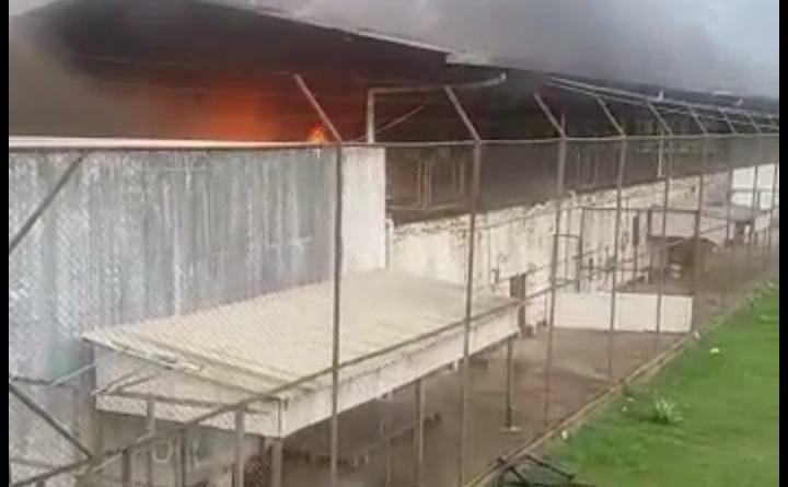 Massacre em presídio de Altamira é o maior do ano em um único presídio ...