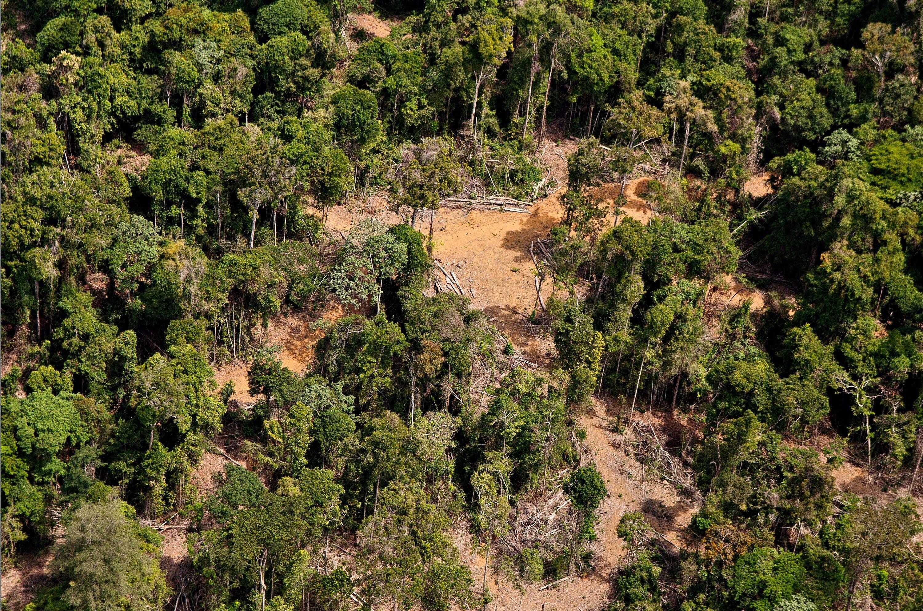 BNDES veta R$ 1,1 bi em crédito para donos de terras com alerta de ...