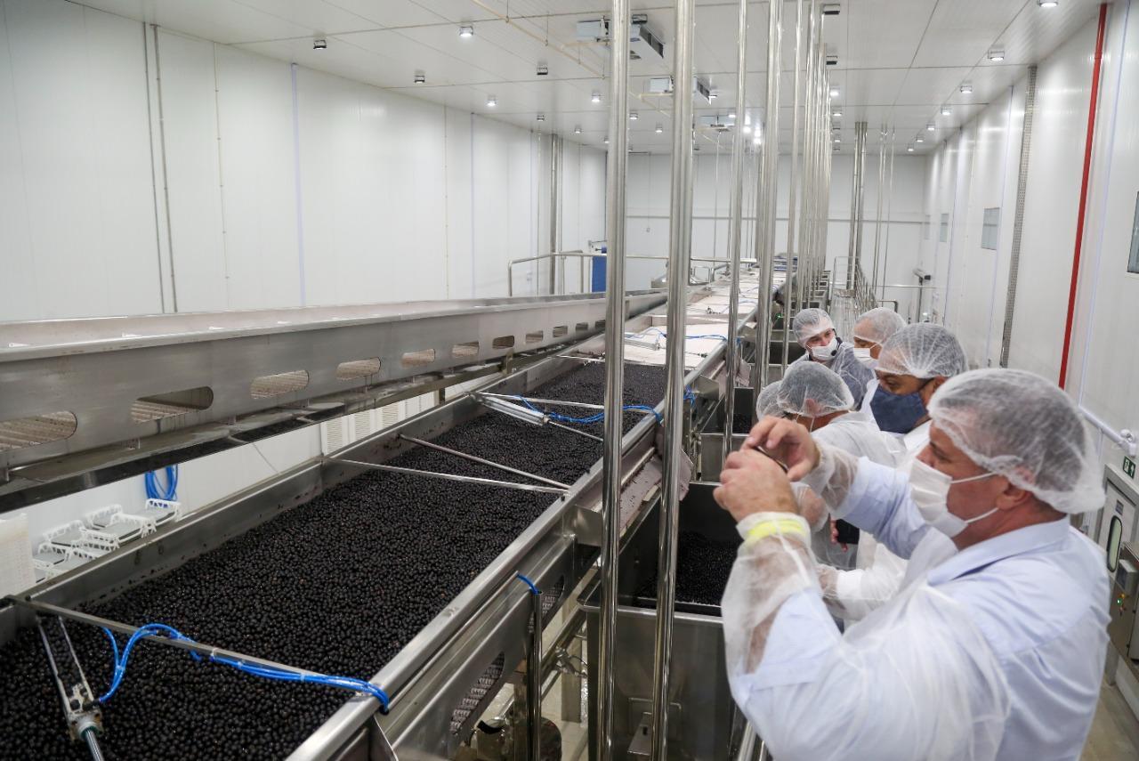 Grupo Zeppone investe R$ 30 mi e quer crescer 200% até 2025 – Agora é ...