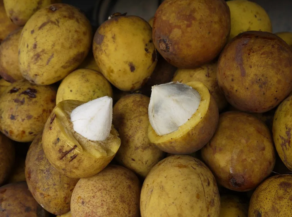 Conheça 10 frutas regionais fáceis de encontrar na feira do Ver-o-Peso ...