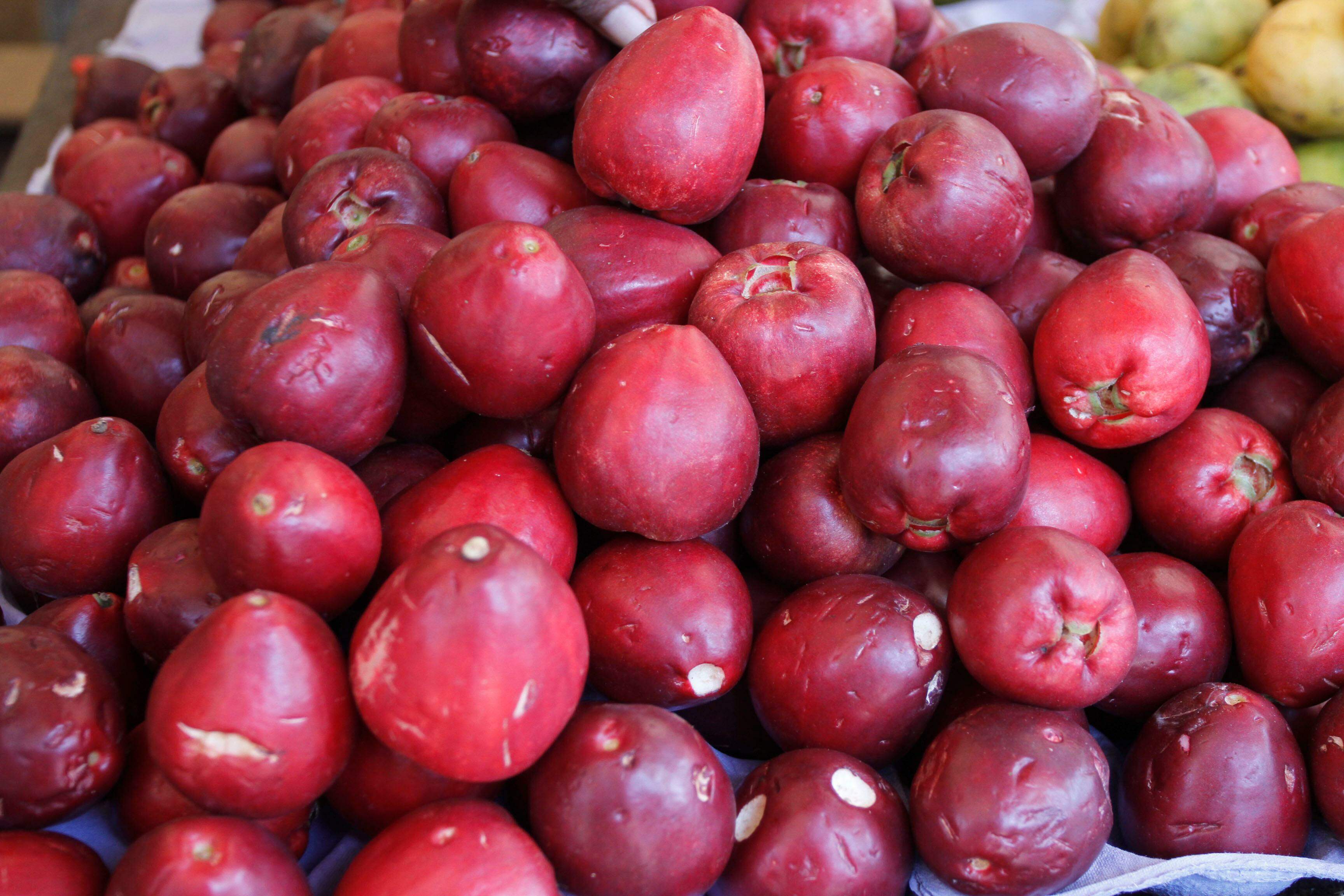 Jambo: o que é, benefícios e como comer | Receita | O Liberal