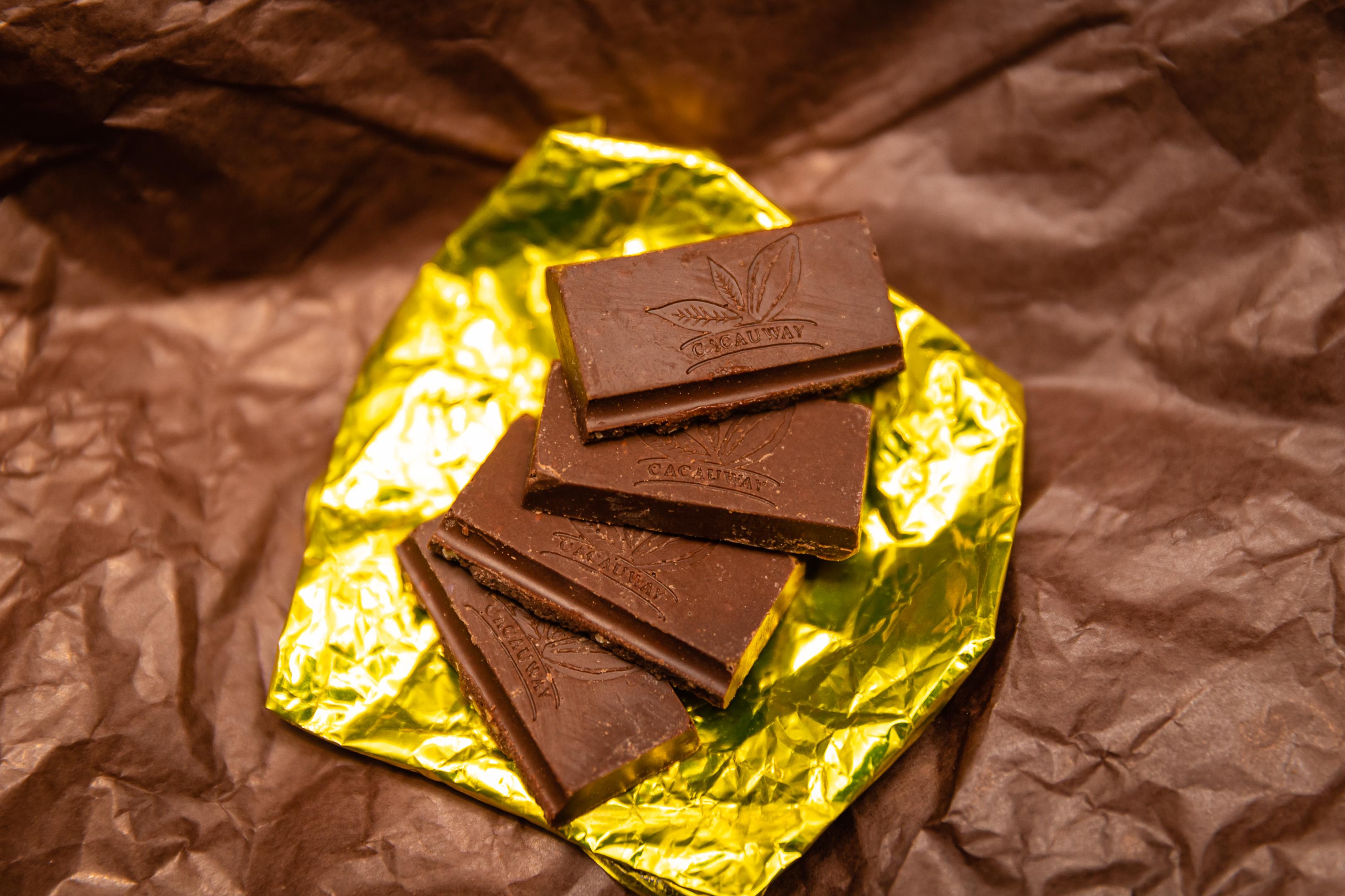 Chocolate amazônico conquista paladares pelo sabor e identidade | Dia ...