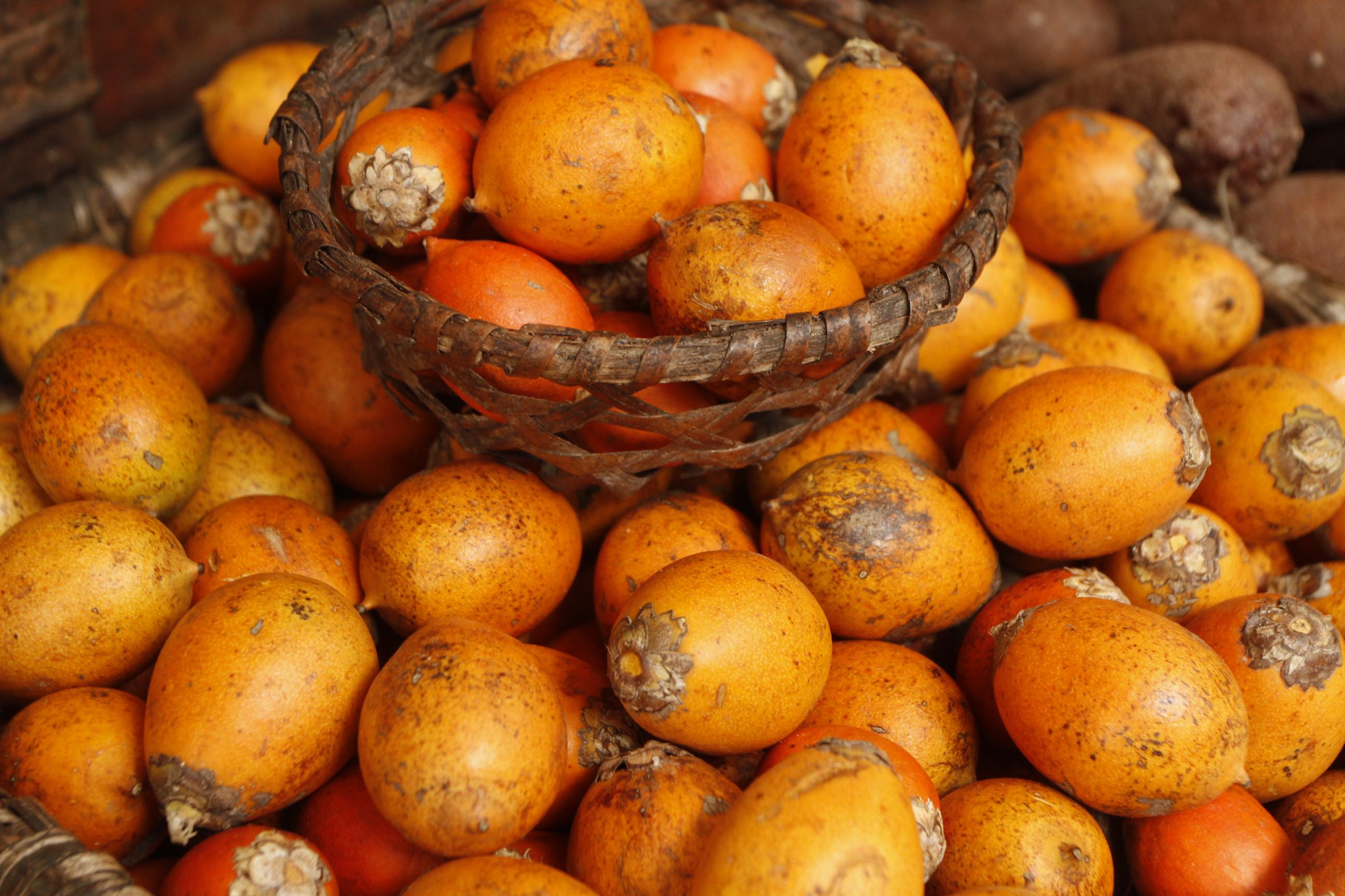 Tucumã: o que é, benefícios e como comer | Receita | O Liberal