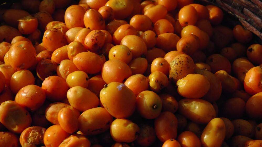 Conheça 10 frutas regionais fáceis de encontrar na feira do Ver-o-Peso ...