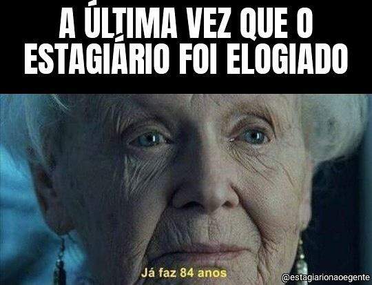 Dia do estagiário: veja os memes que viralizaram na web hoje | Brasil ...