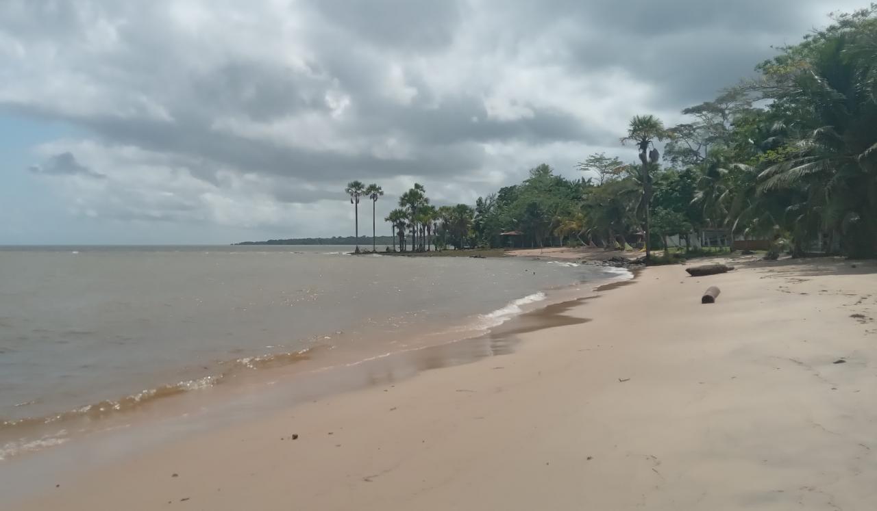 Barcarena: conheça a ilha de Trambioca, no Pará, com 11 praias ...
