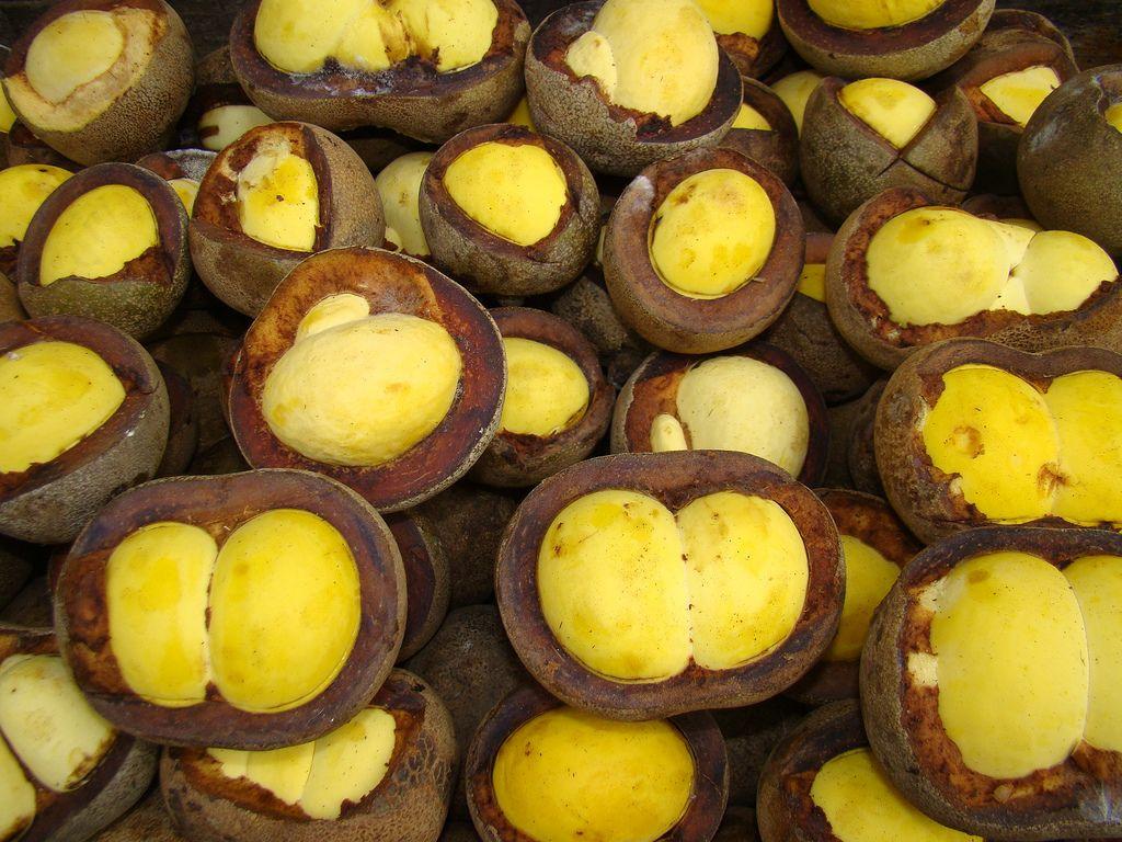 Piquiá: o que é, benefícios e como comer | Receita | O Liberal