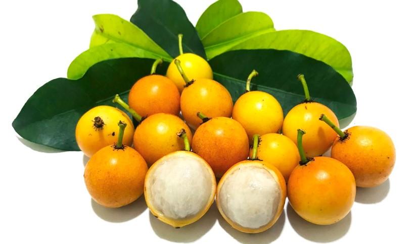 Bacupari: o que é, benefícios e como comer | Receita | O Liberal