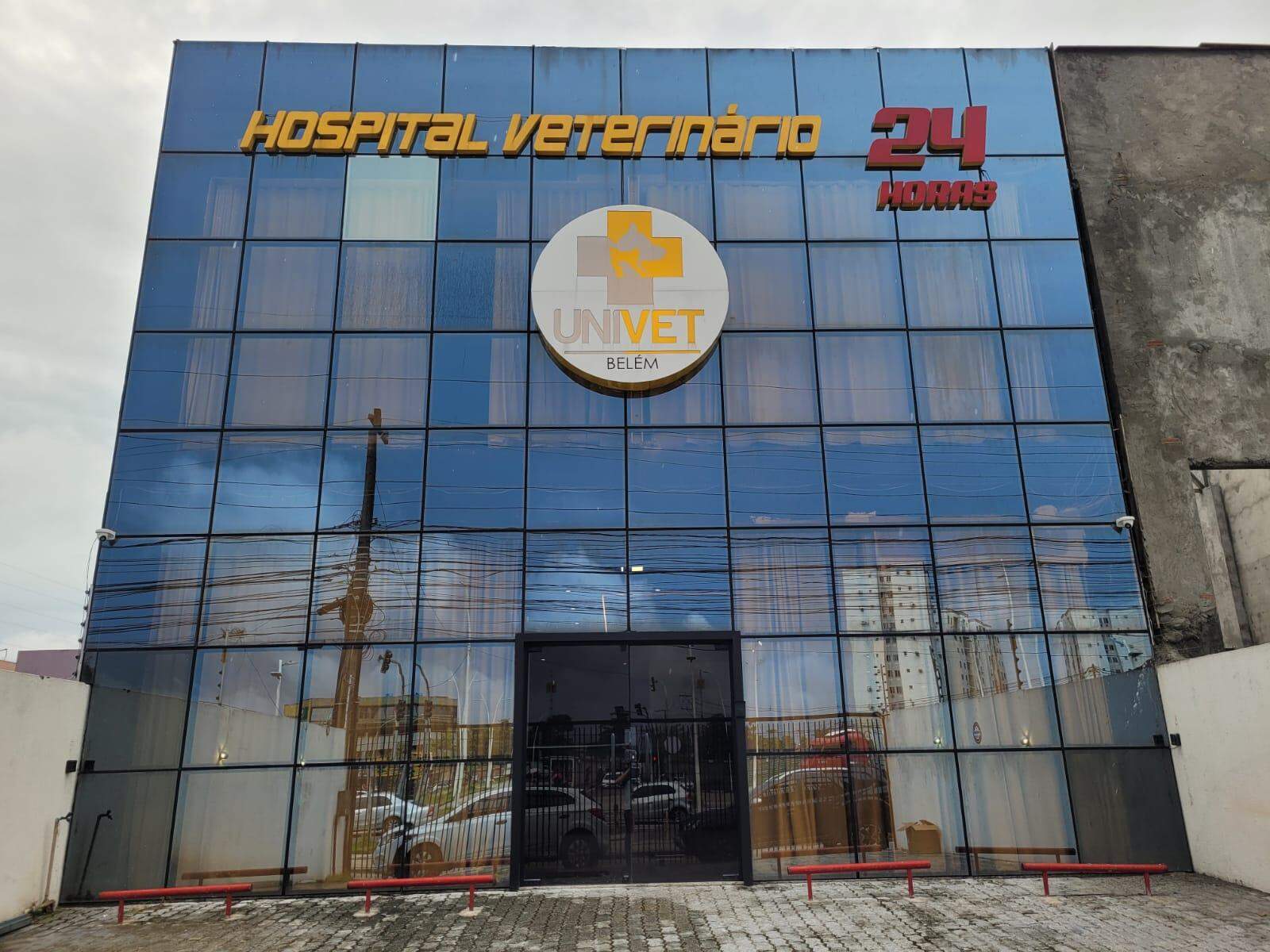 Univet: entenda a importância de contar com um hospital veterinário 24 ...