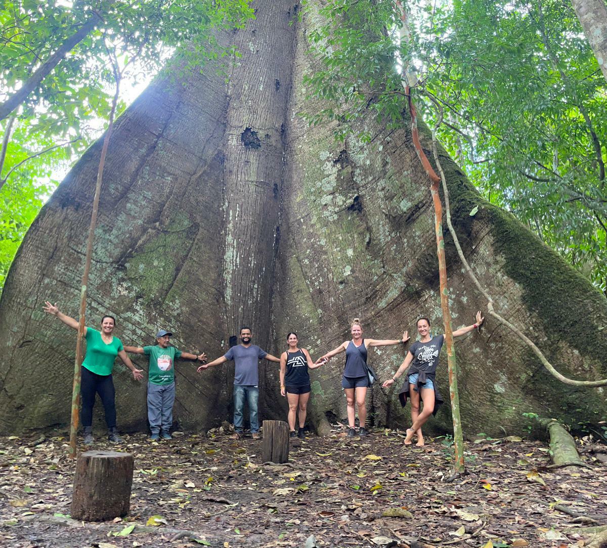 Trilha da 'vovó' Samaúma atrai visitantes de todos os lugares do mundo ...