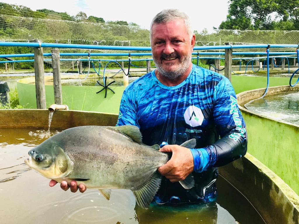 Castanhal realiza a 25ª Feira do Peixe Vivo | Pará | O Liberal