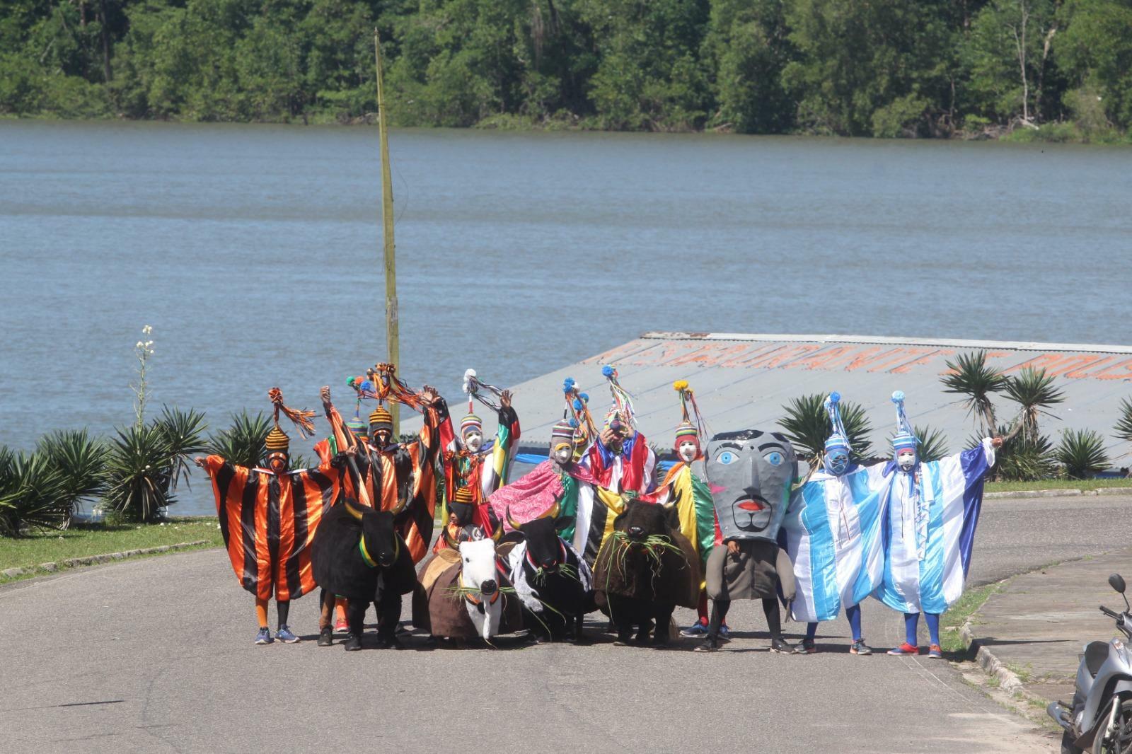 Arrastões de bois une cultura e arte em São Caetano de Odivelas durante ...