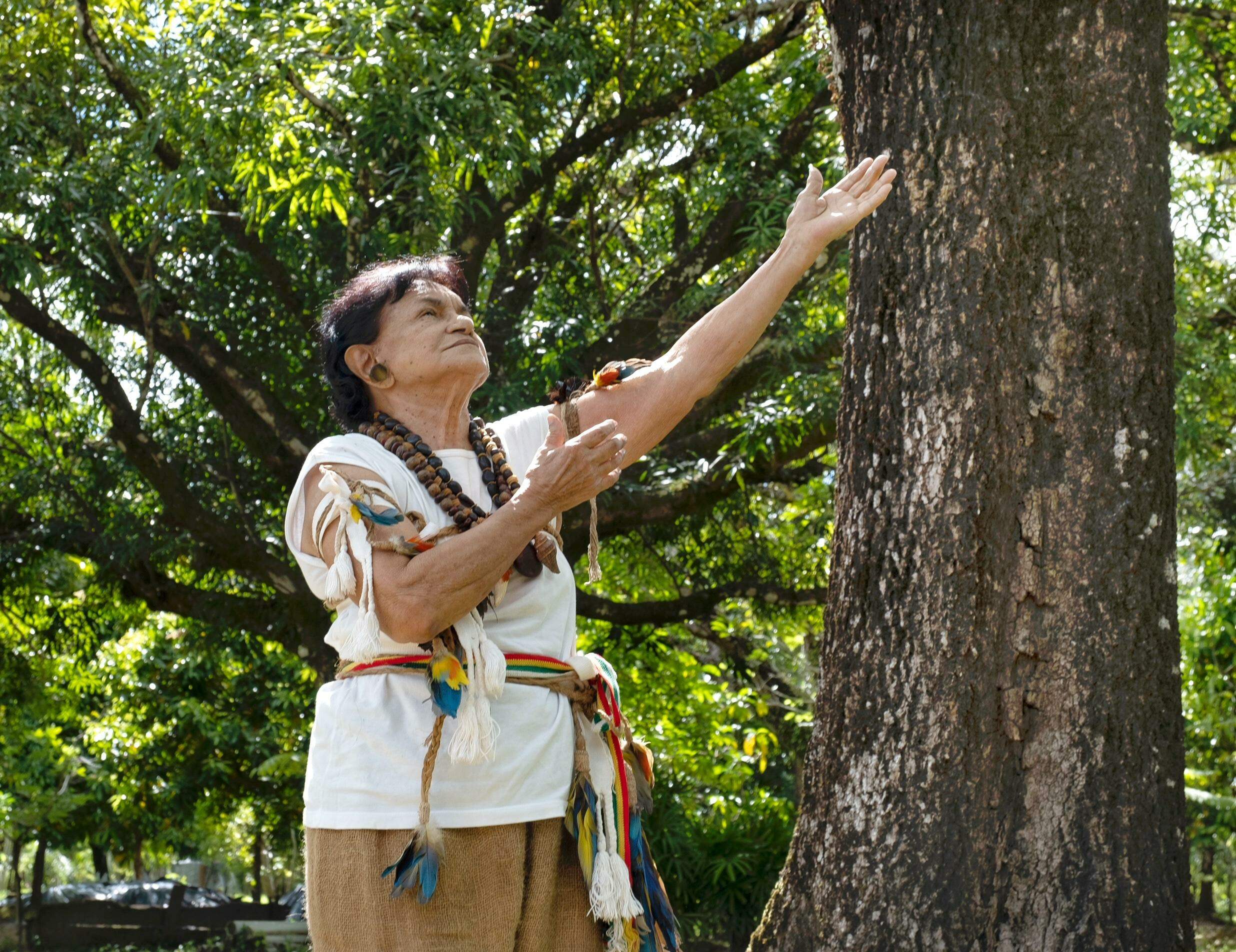 Zeneida Lima 89 anos: vozes da Amazônia devem ser ouvidas na COP30 ...