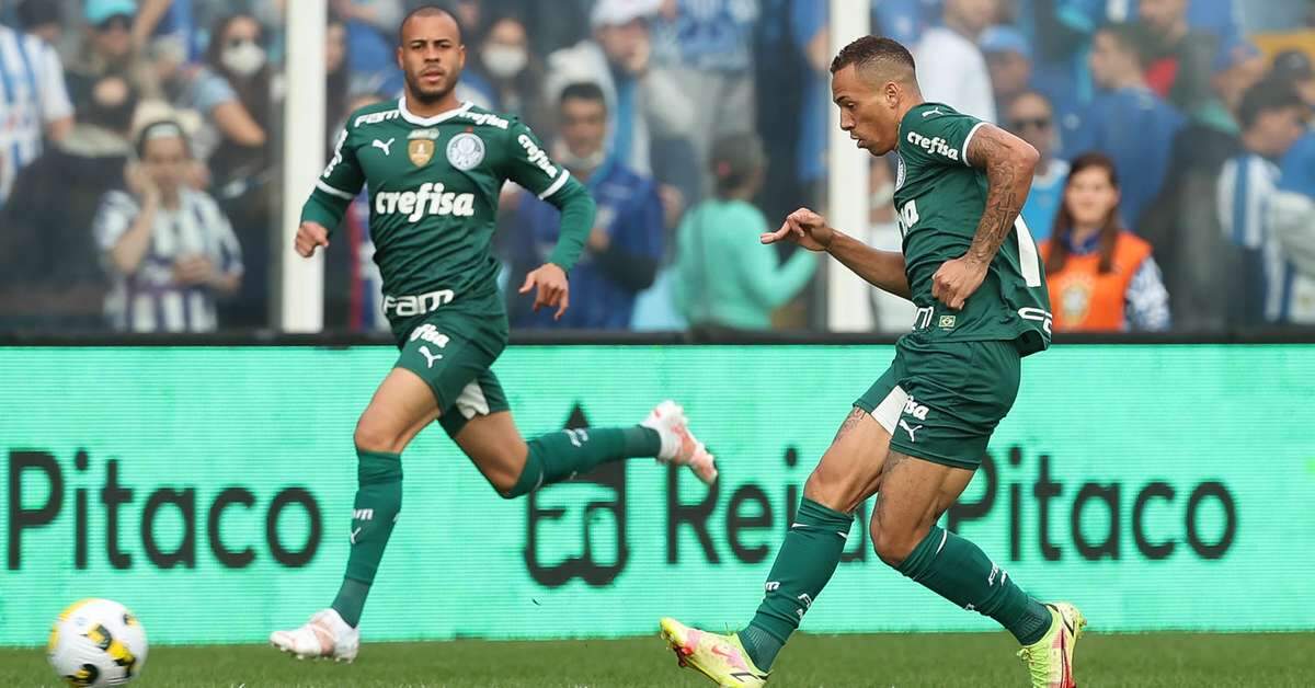 Portuguesa X Palmeiras Onde Assistir Ao Vivo E O Horário Do Jogo De