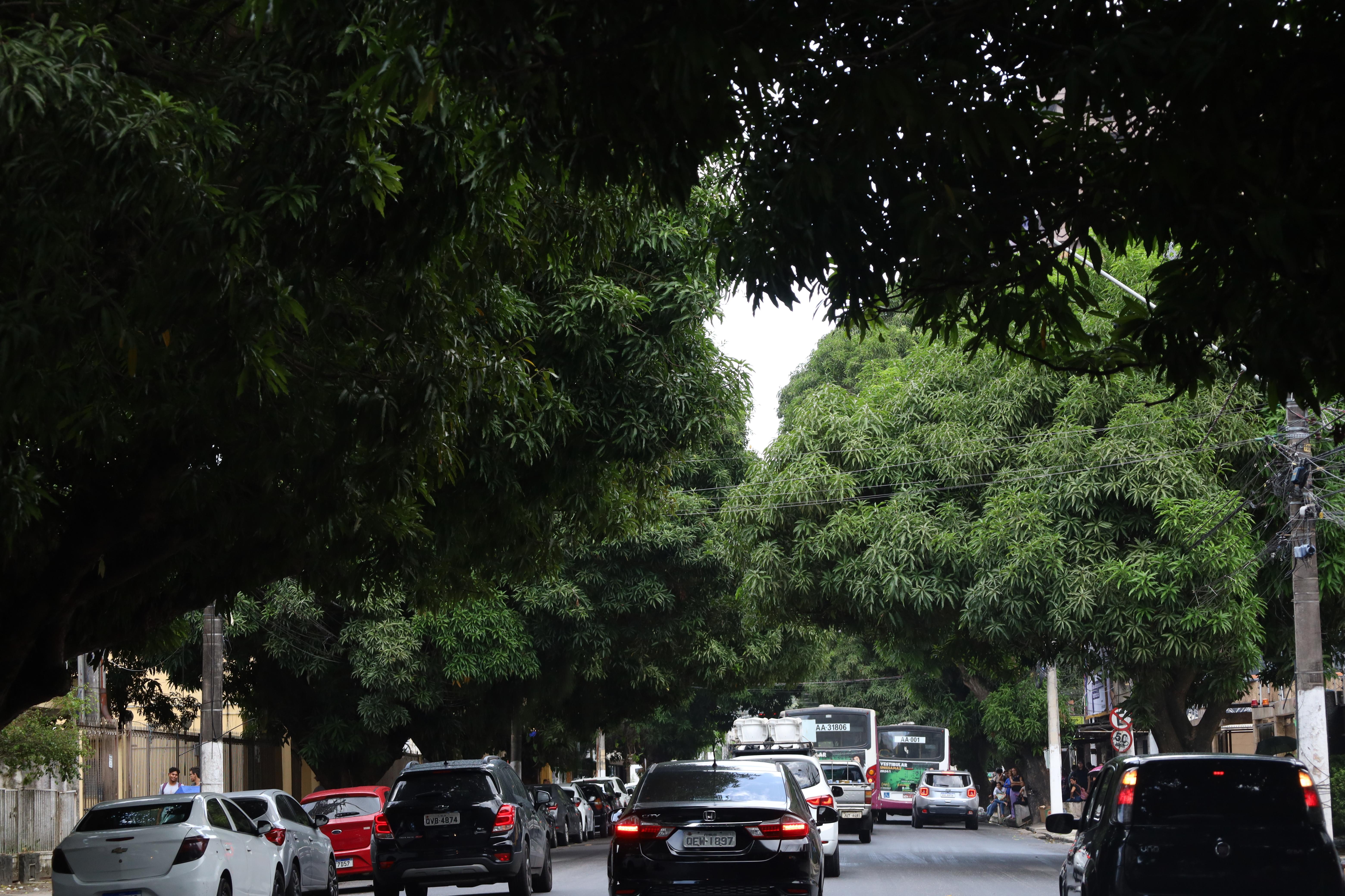 Belém tem 578,870 km² de áreas verdes, aponta Semma; população deseja ...