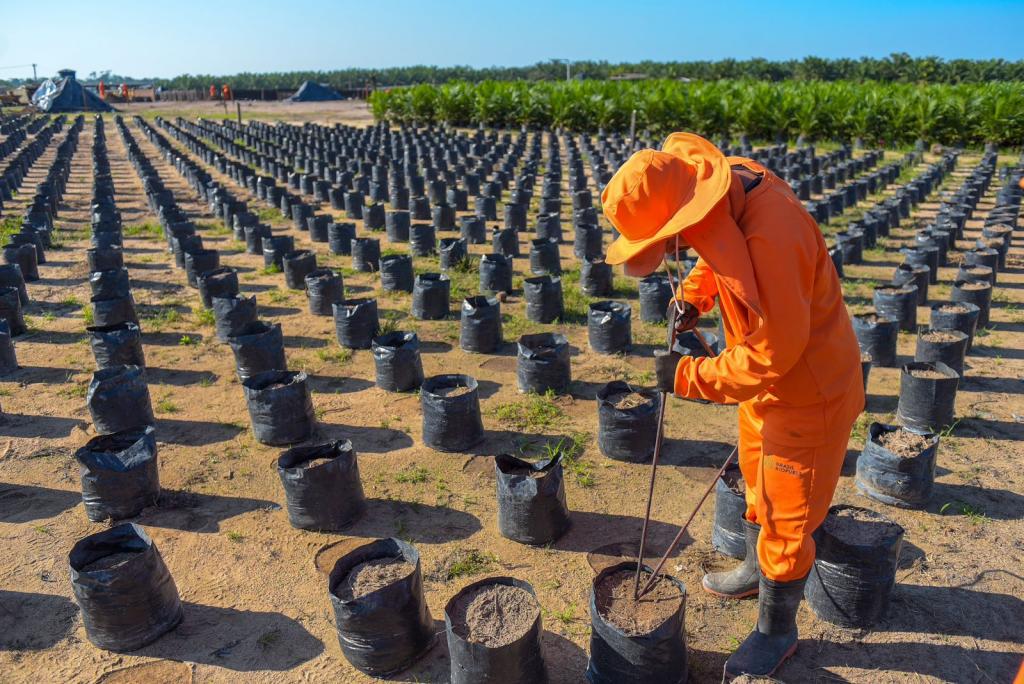 Produtores de Moju fecham acordo com o Grupo BBF para fomento da agricultura familiar no Pará ...