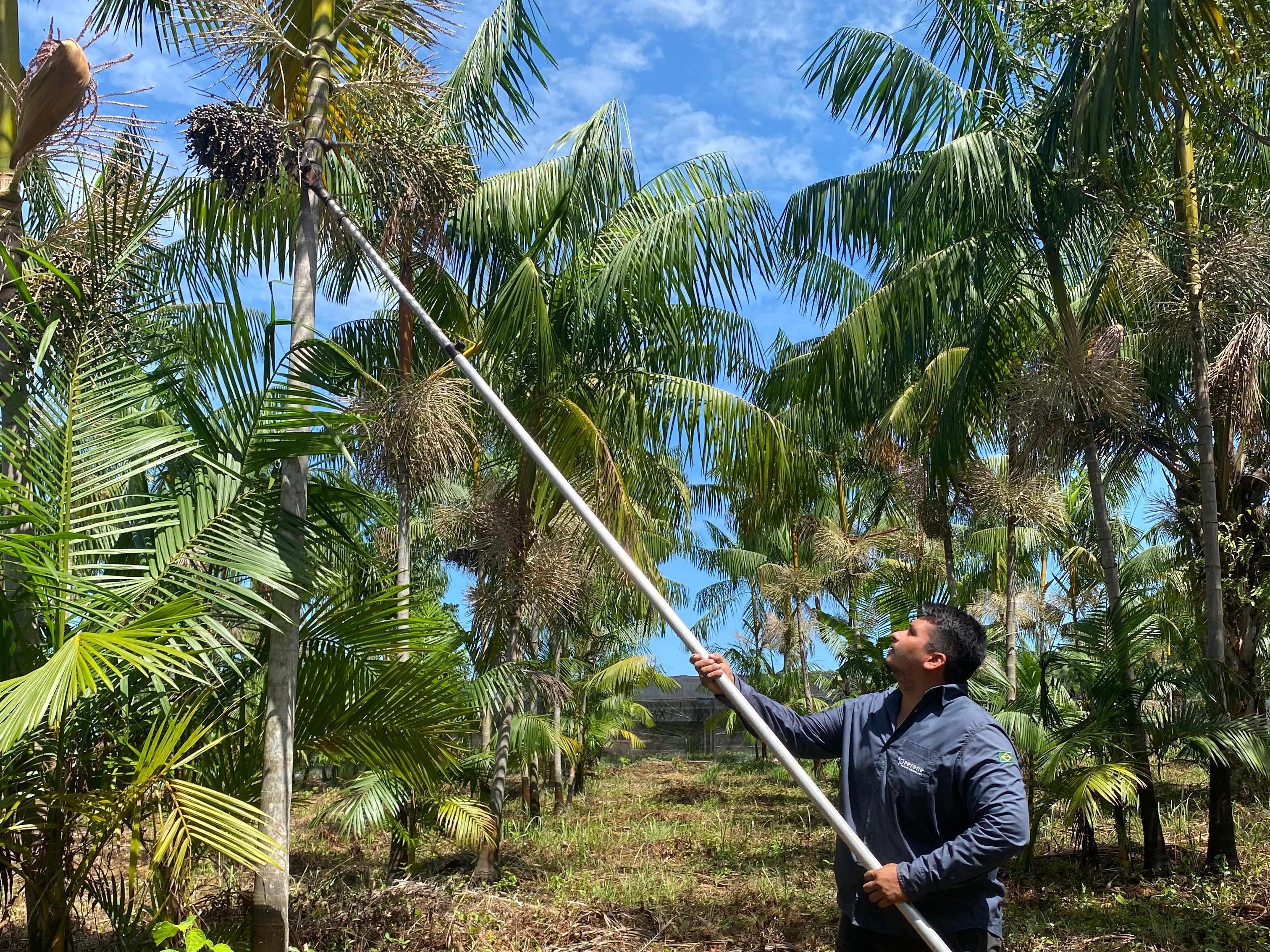 Desenvolvimento e investimento industrial no estado do Pará. | Page 101 ...