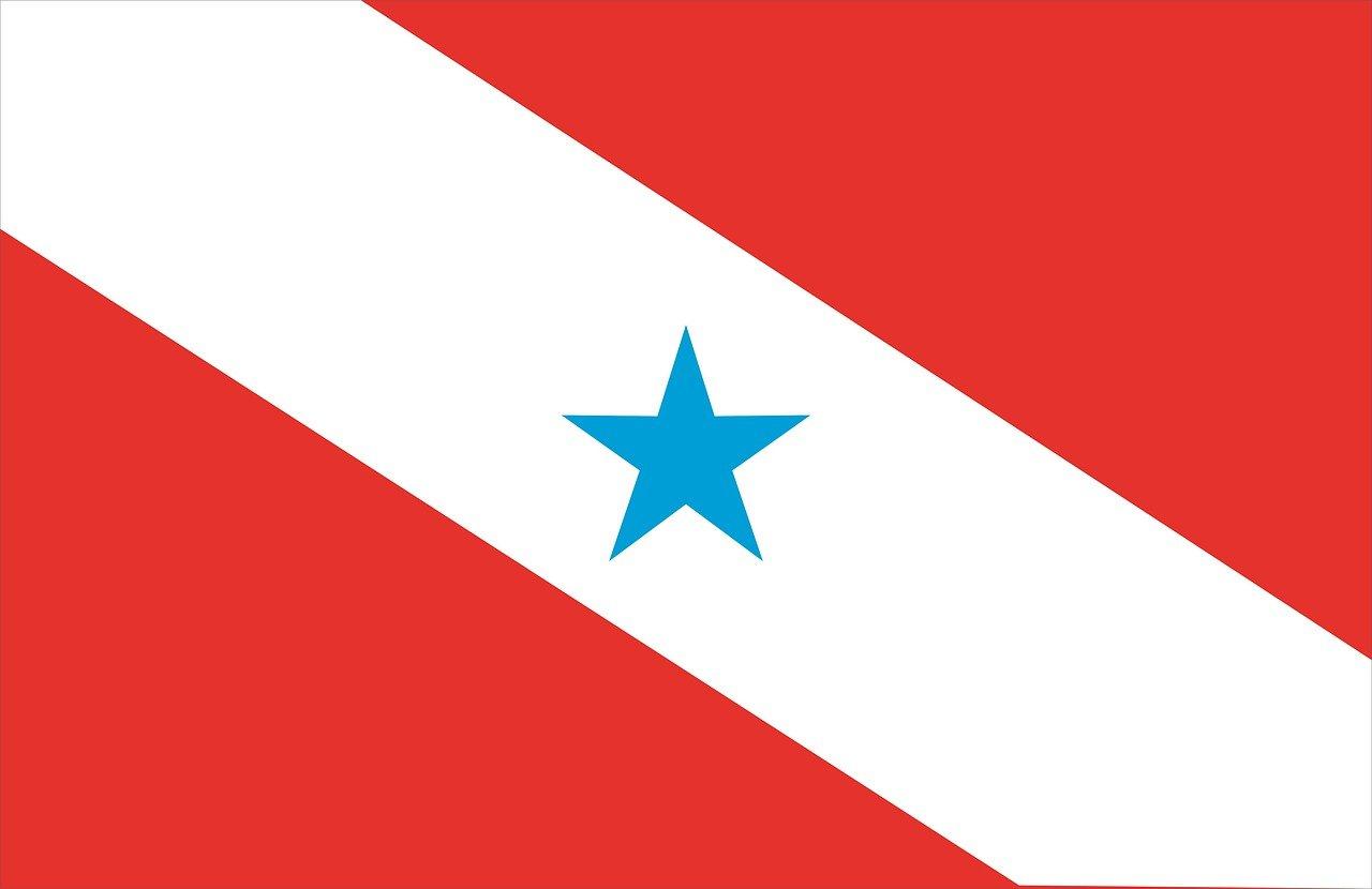 Entenda o que significa 'égua', 'pomba lesa' e 'gala seca' no Pará ...