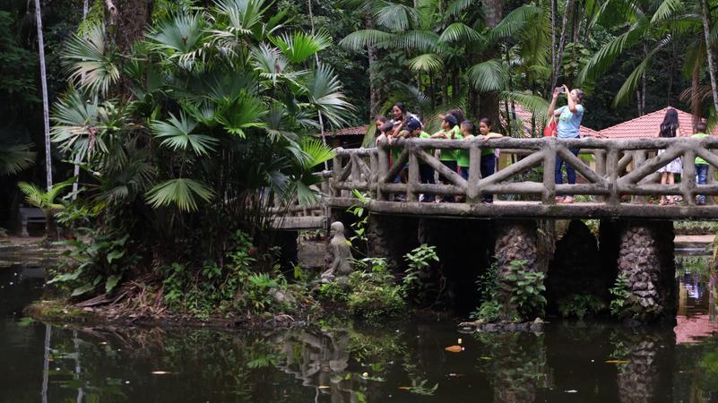 Bosque Rodrigues Alves terá entrada gratuita todo último fim de semana ...