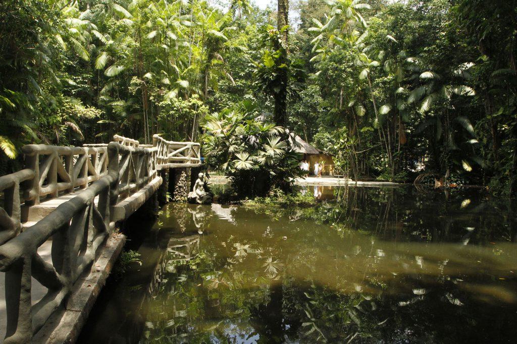 Bosque Rodrigues Alves terá entrada gratuita neste final de semana em ...