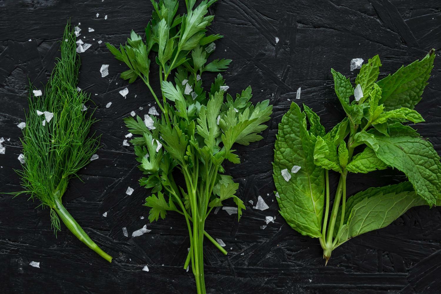 Descubra 3 plantas comestíveis que você pode ter em casa sem saber ...